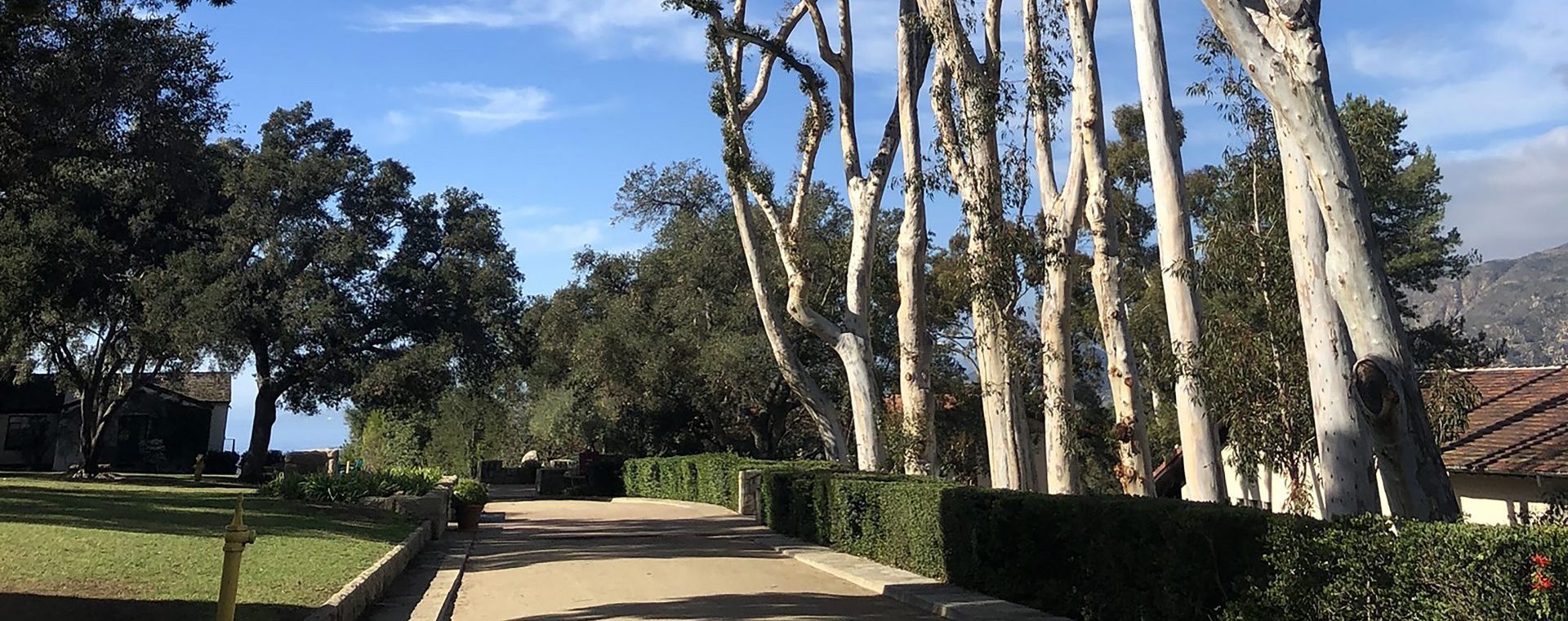 Bulletin - Cate School