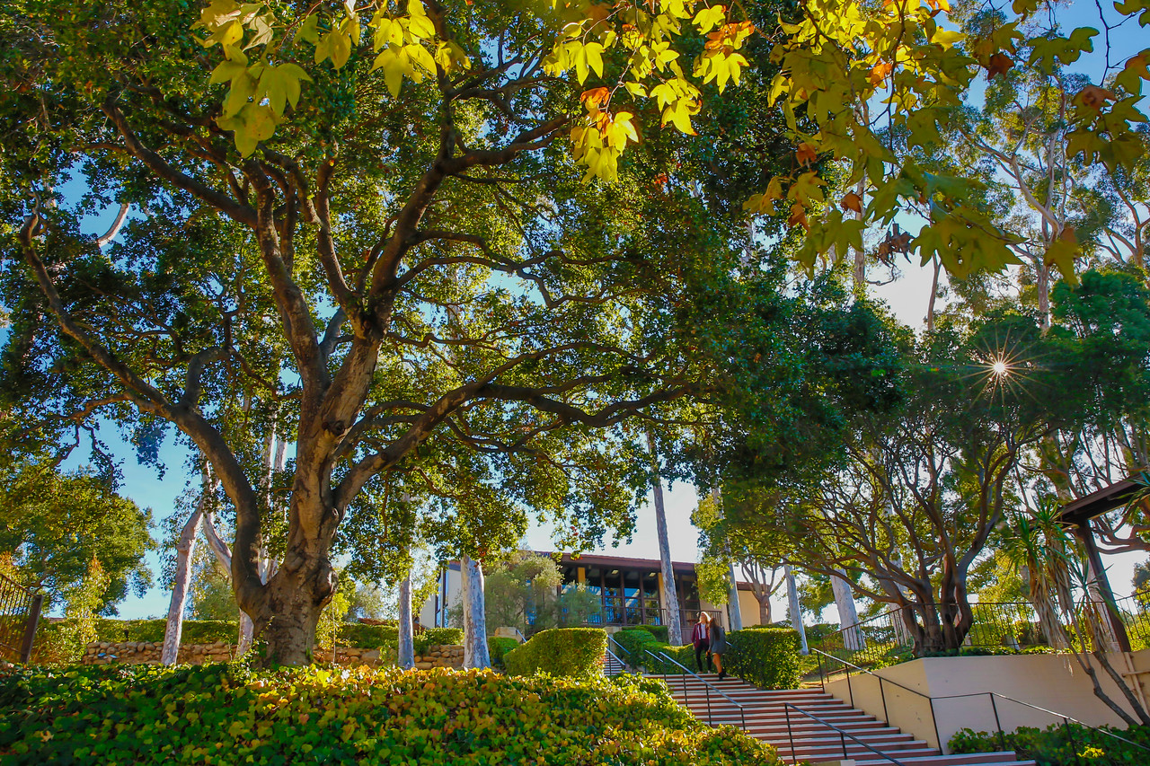 Ways to Give - Cate School